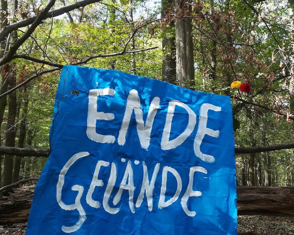 Newsletter #33 – Because we set our heart on this forest: Ende Gelände ...